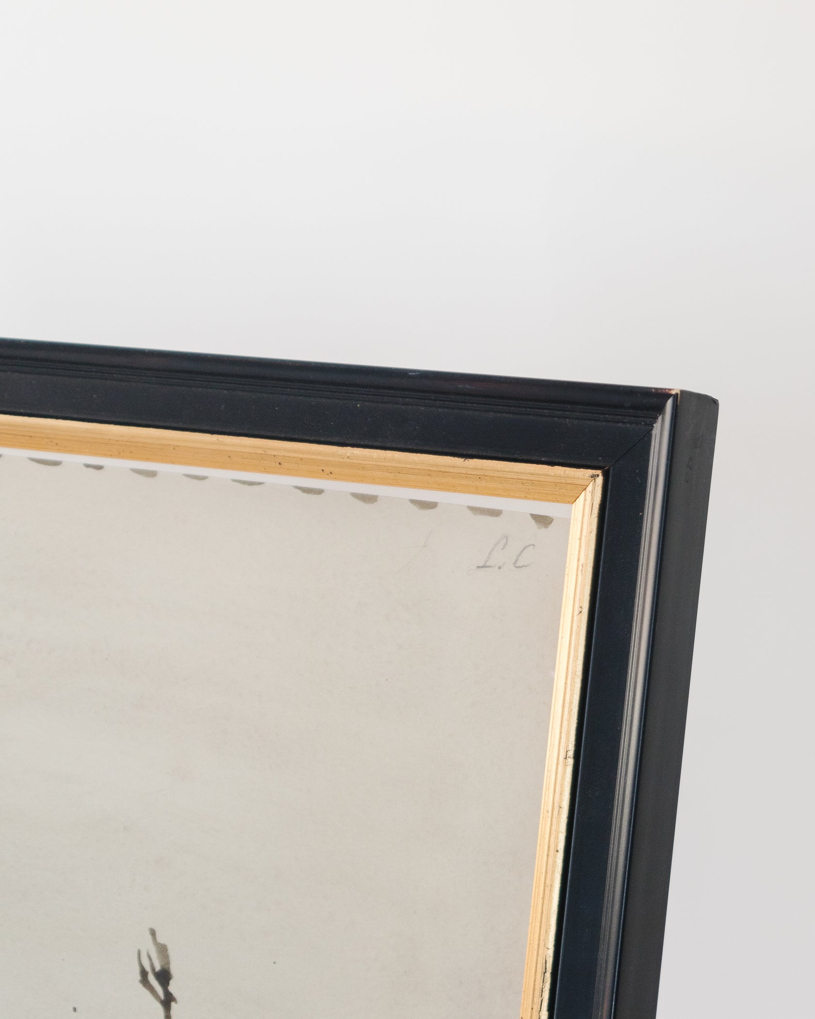 Botanical Thoughts IV – Splendus