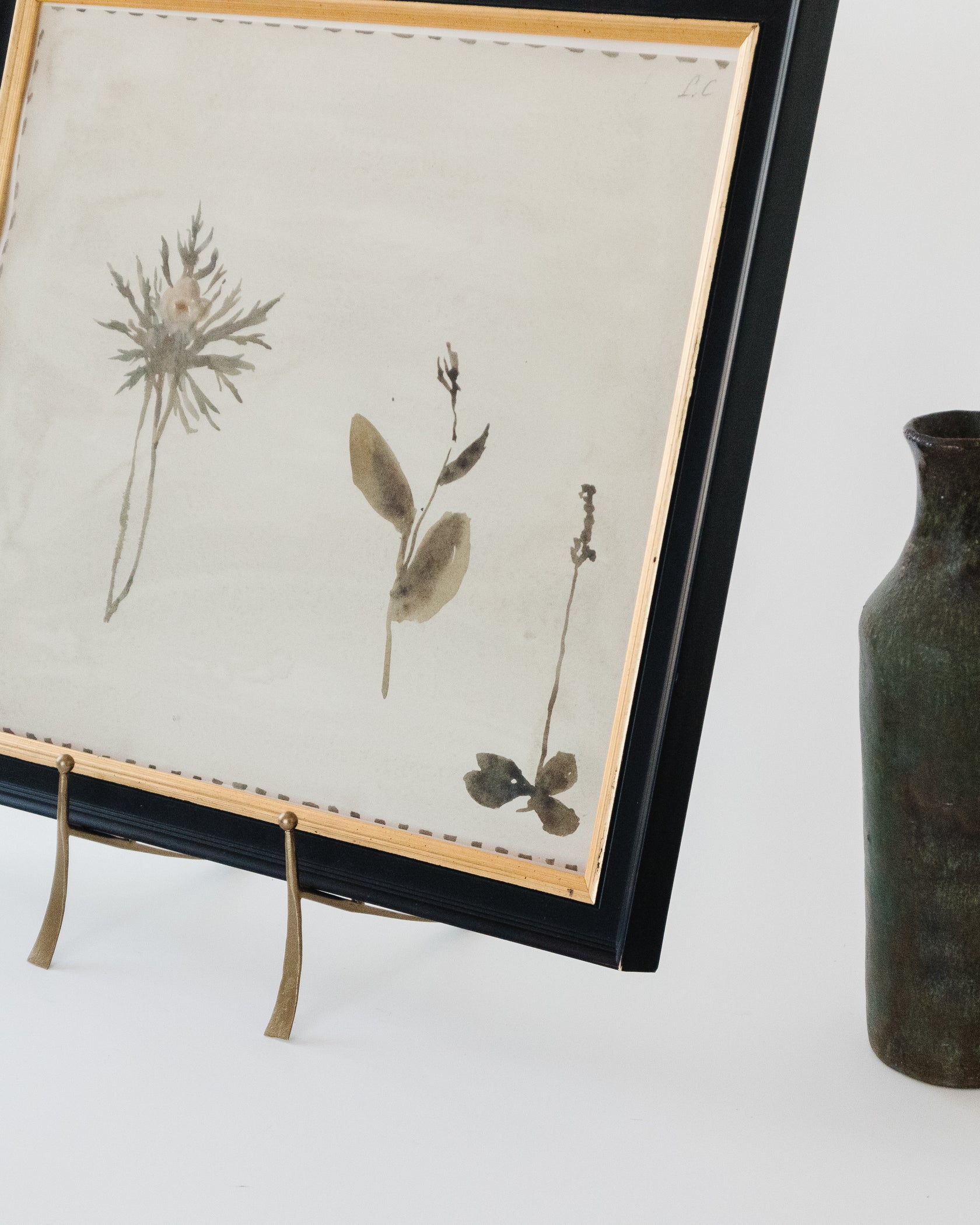 Botanical Thoughts IV – Splendus