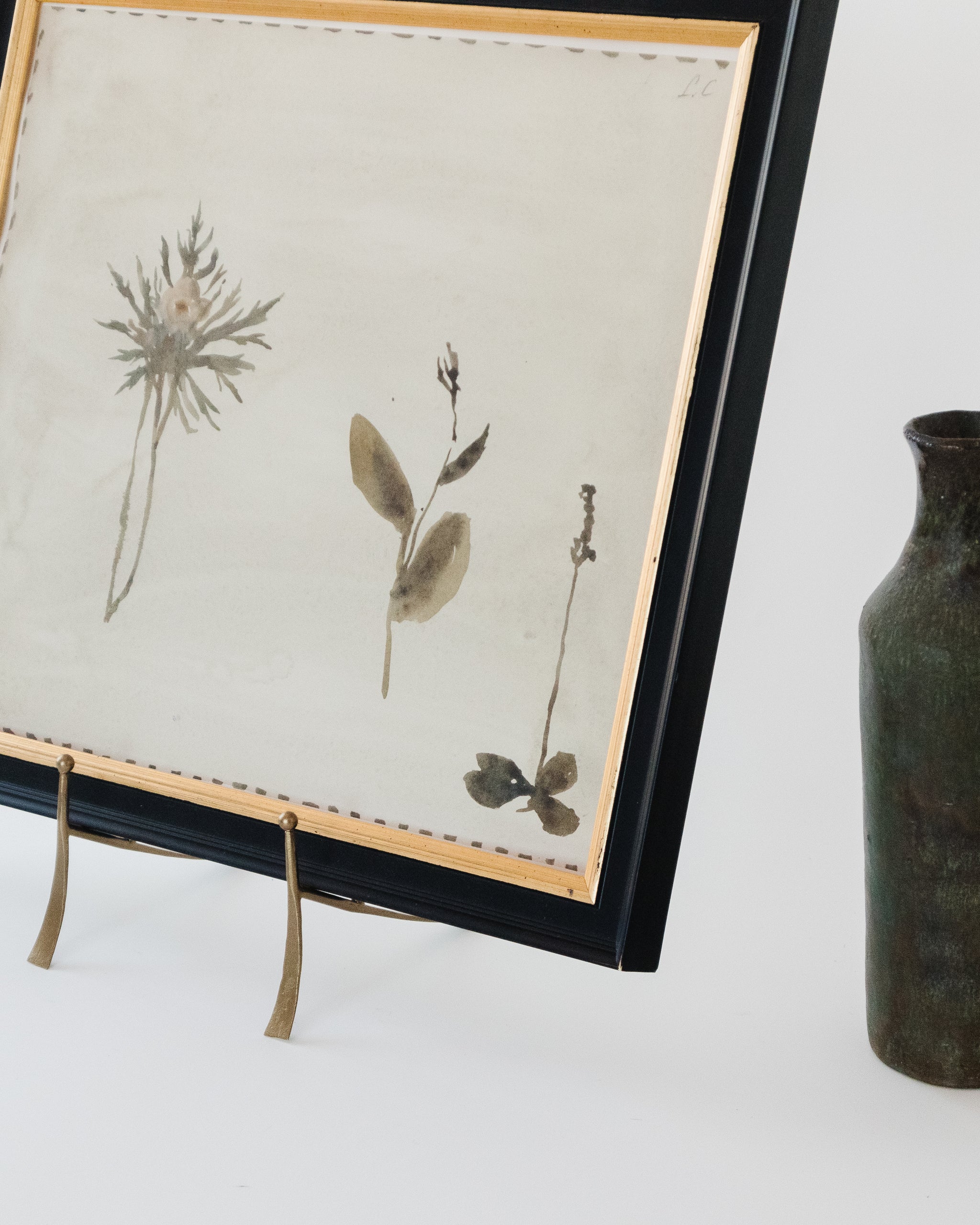 Botanical Thoughts IV – Splendus