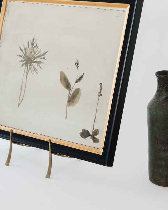 Botanical Thoughts IV – Splendus