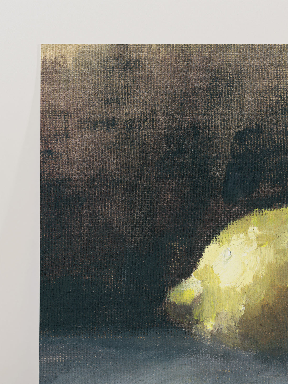 Lemon Study – Splendus