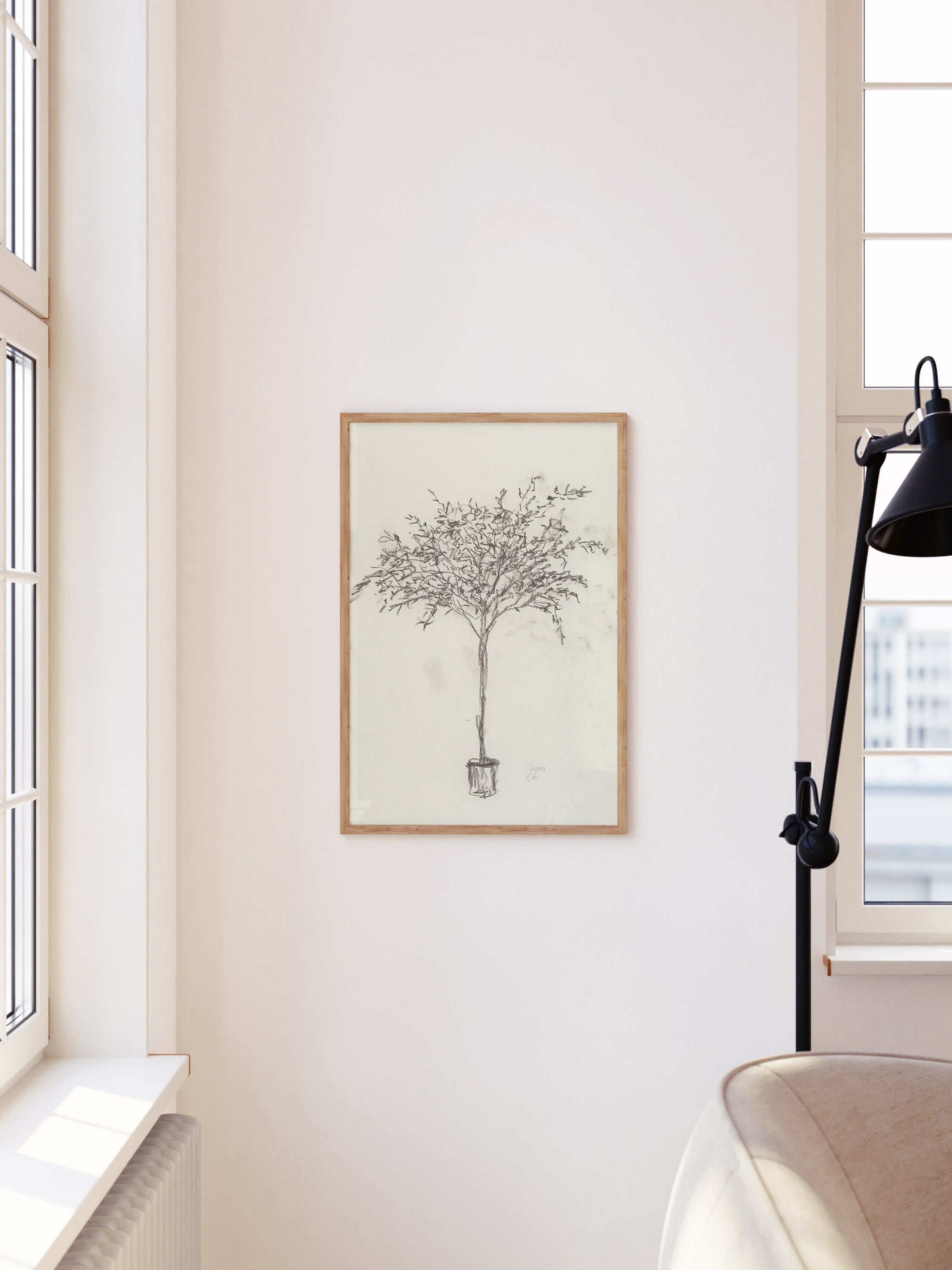 Olive Tree Sketch II – Splendus