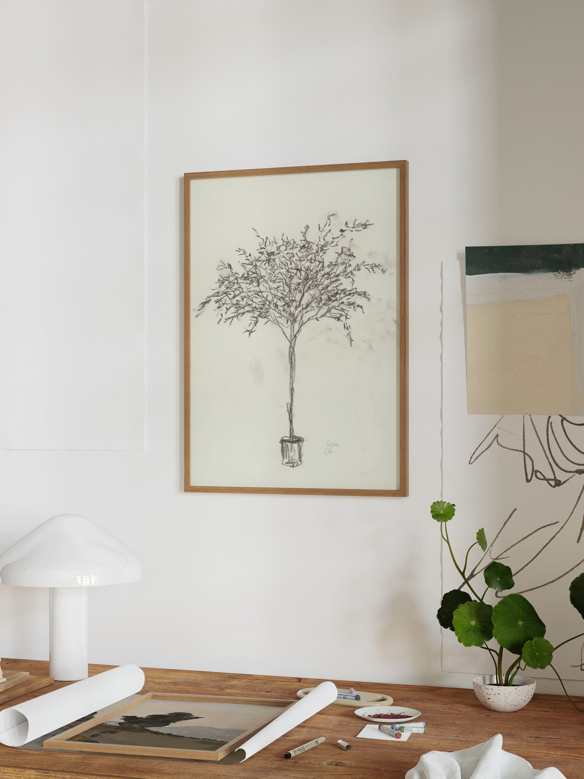 Olive Tree Sketch II – Splendus