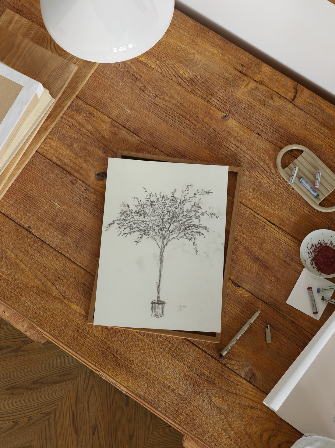 Olive Tree Sketch II – Splendus
