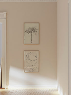 Olive Tree Sketch II – Splendus