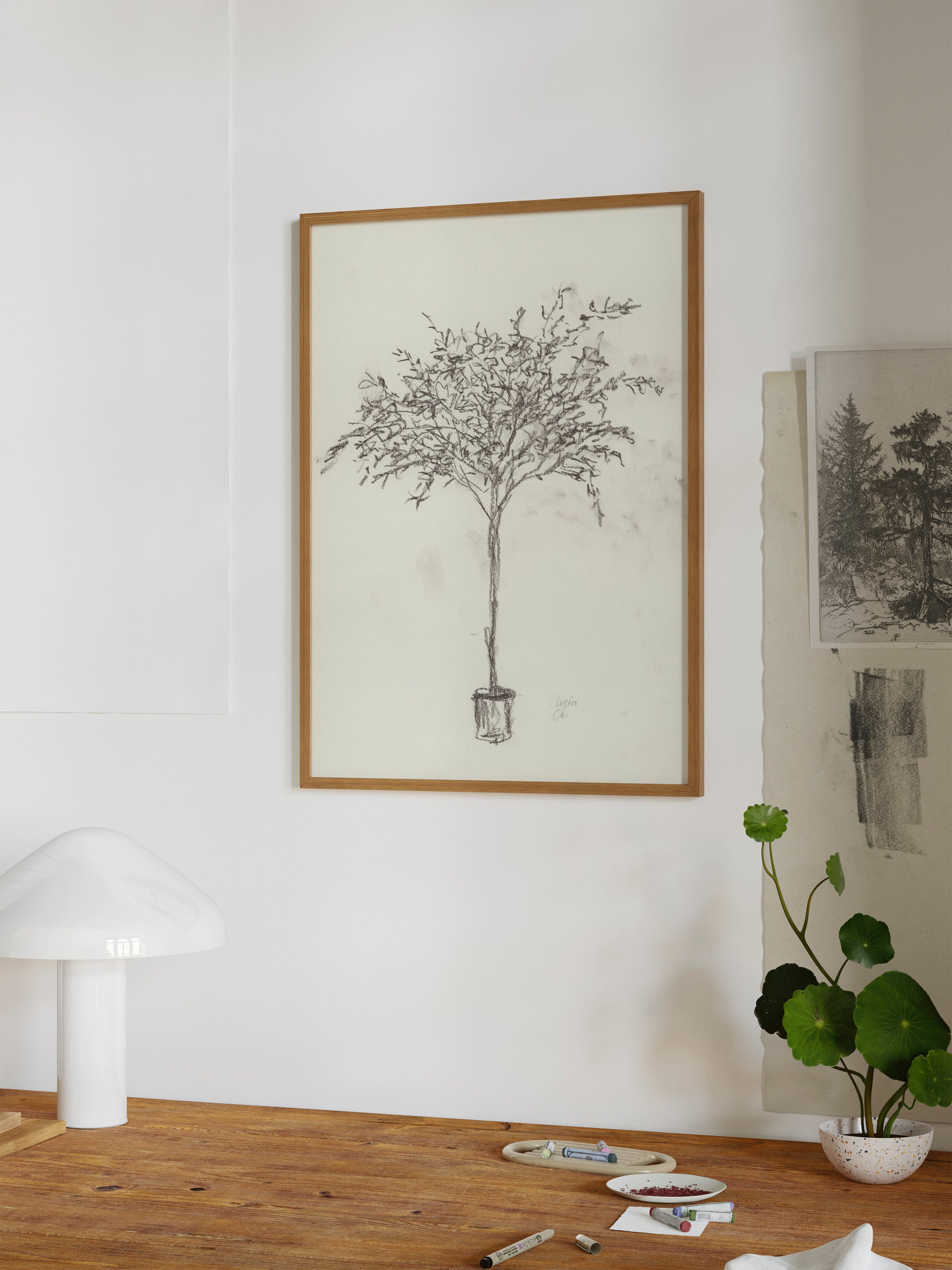 Olive Tree Sketch II – Splendus