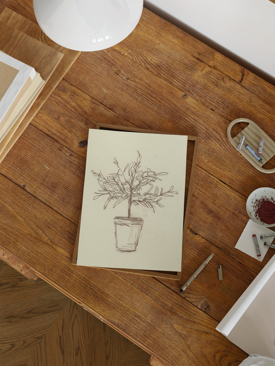 Olive Tree Sketch – Splendus