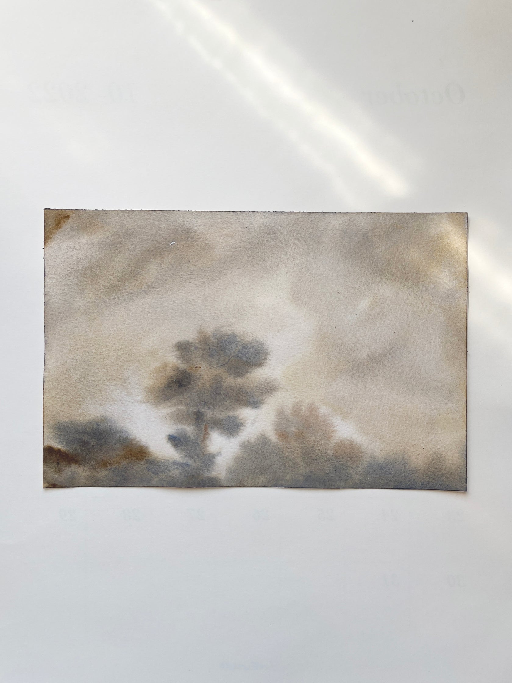 Day of November – Splendus