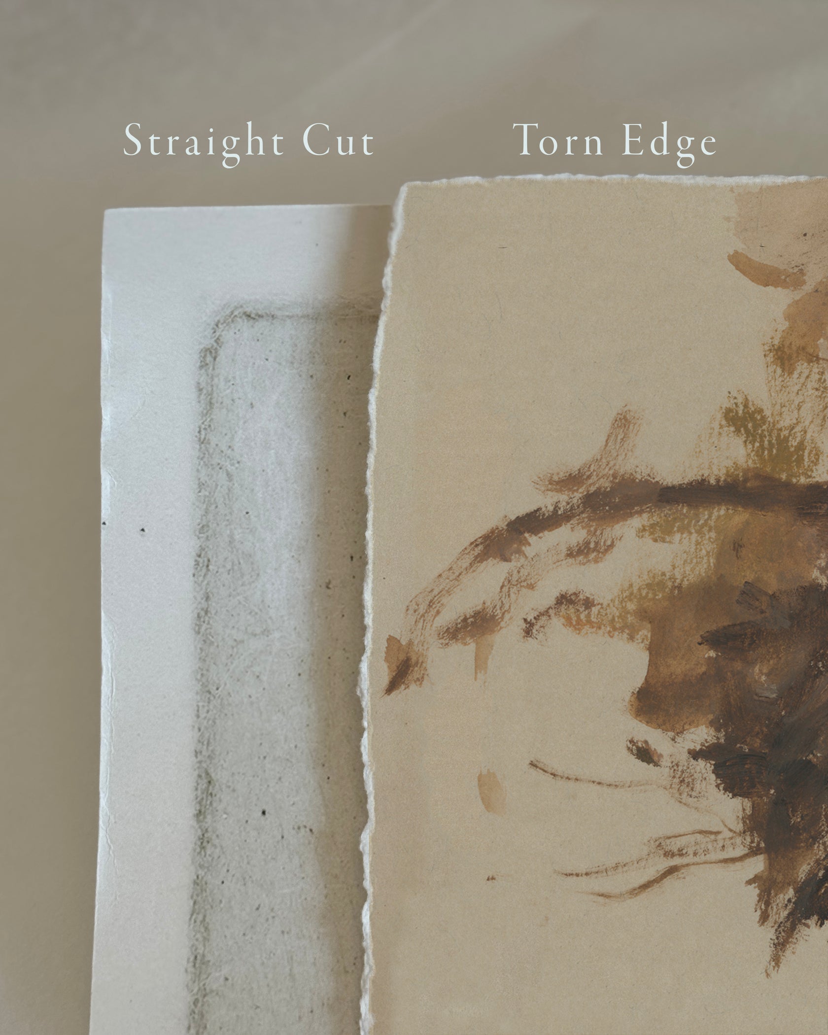 Wild Colt – Splendus