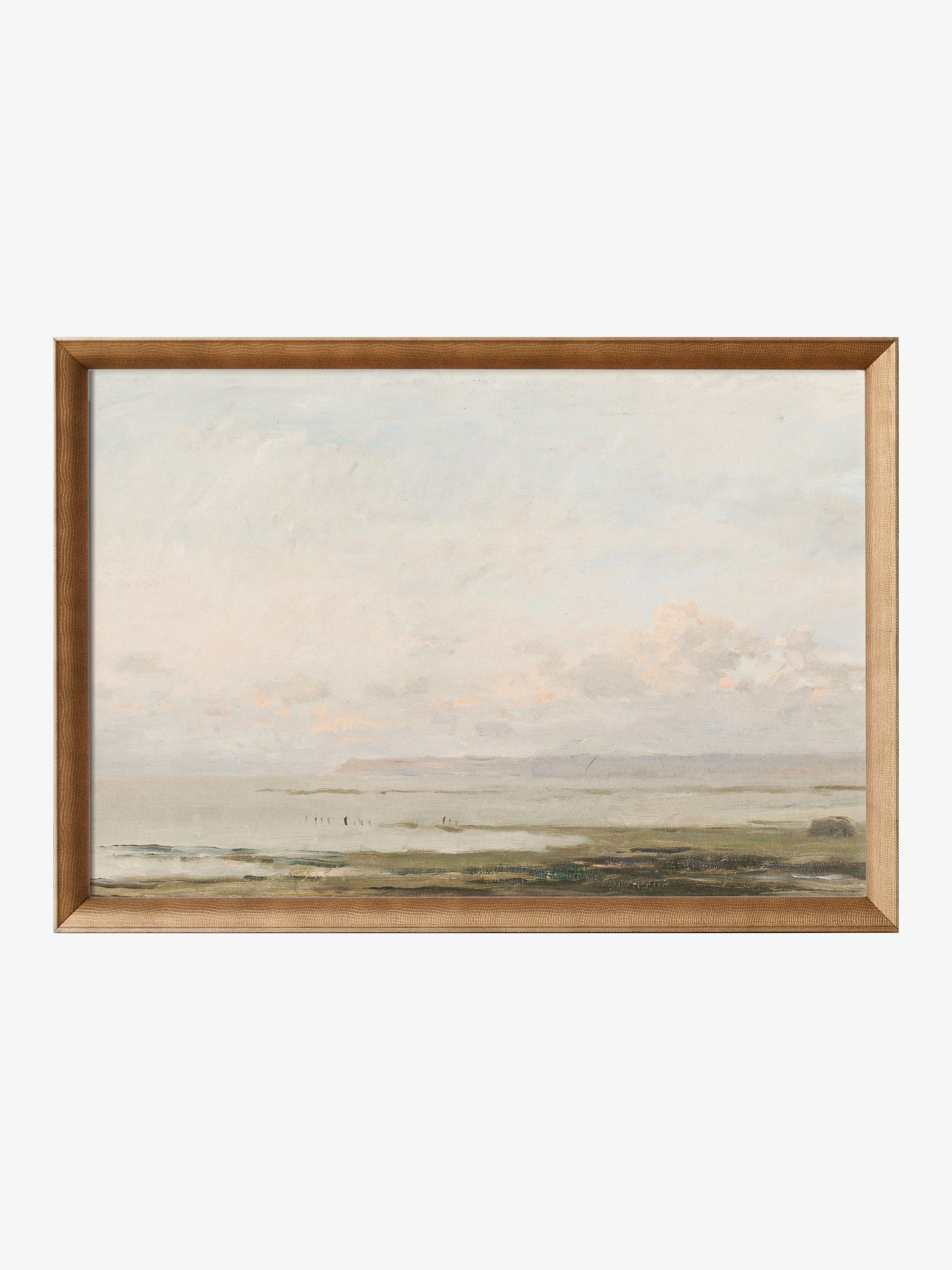 Beach Landscape – Splendus