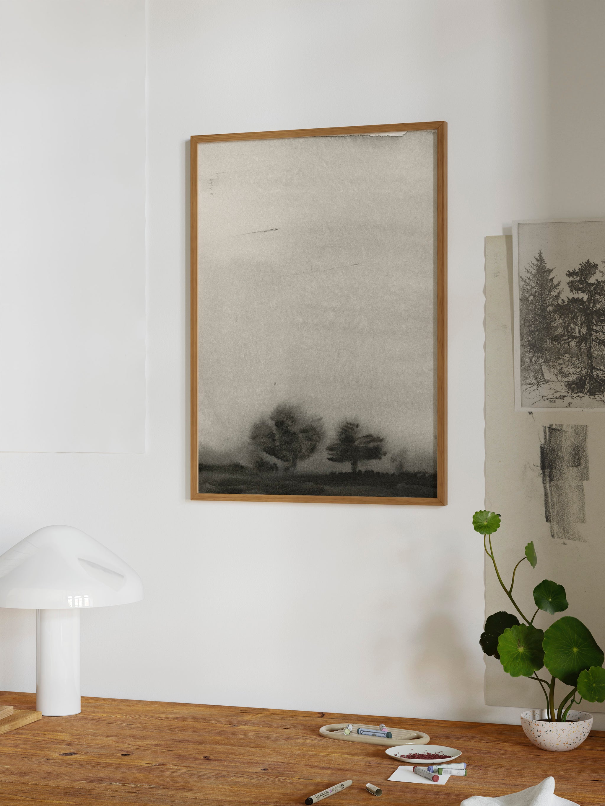 Trees In The Mist – Splendus