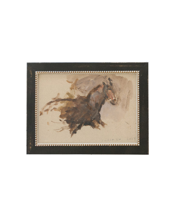 Wild Colt – Splendus