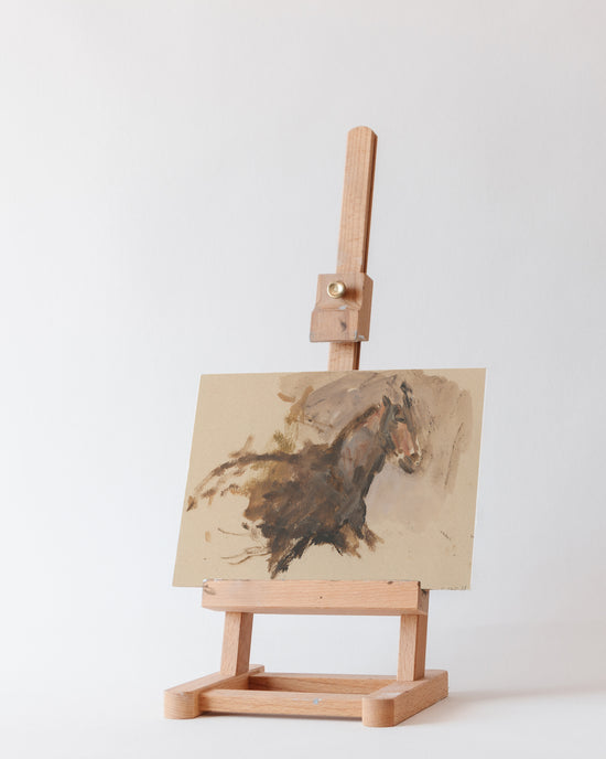 Wild Colt – Splendus