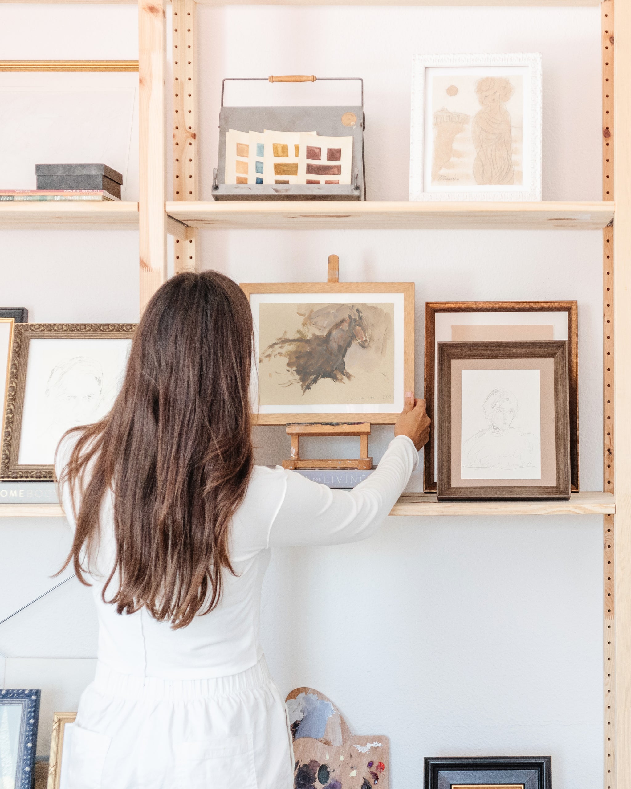 Wild Colt – Splendus