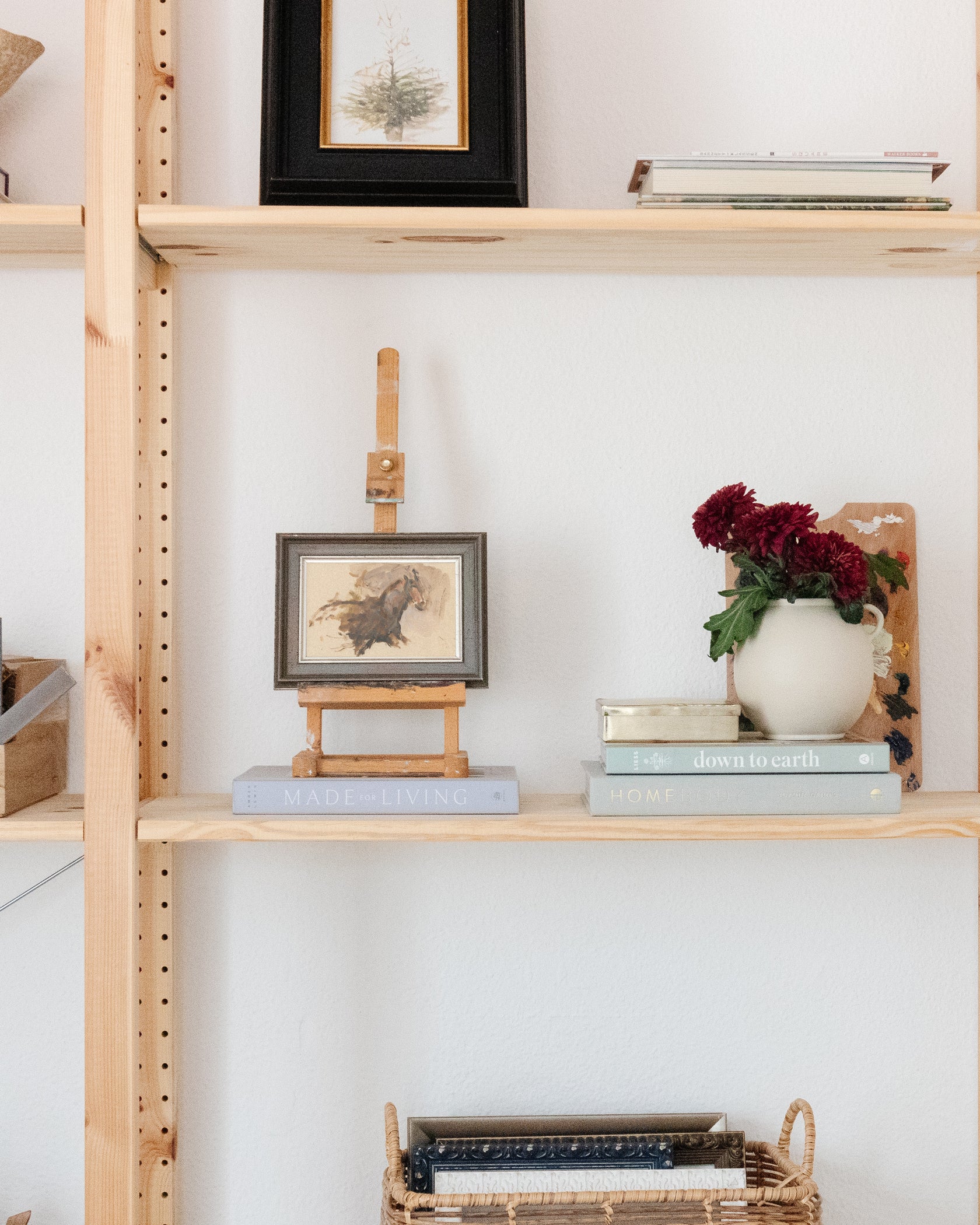 Wild Colt – Splendus