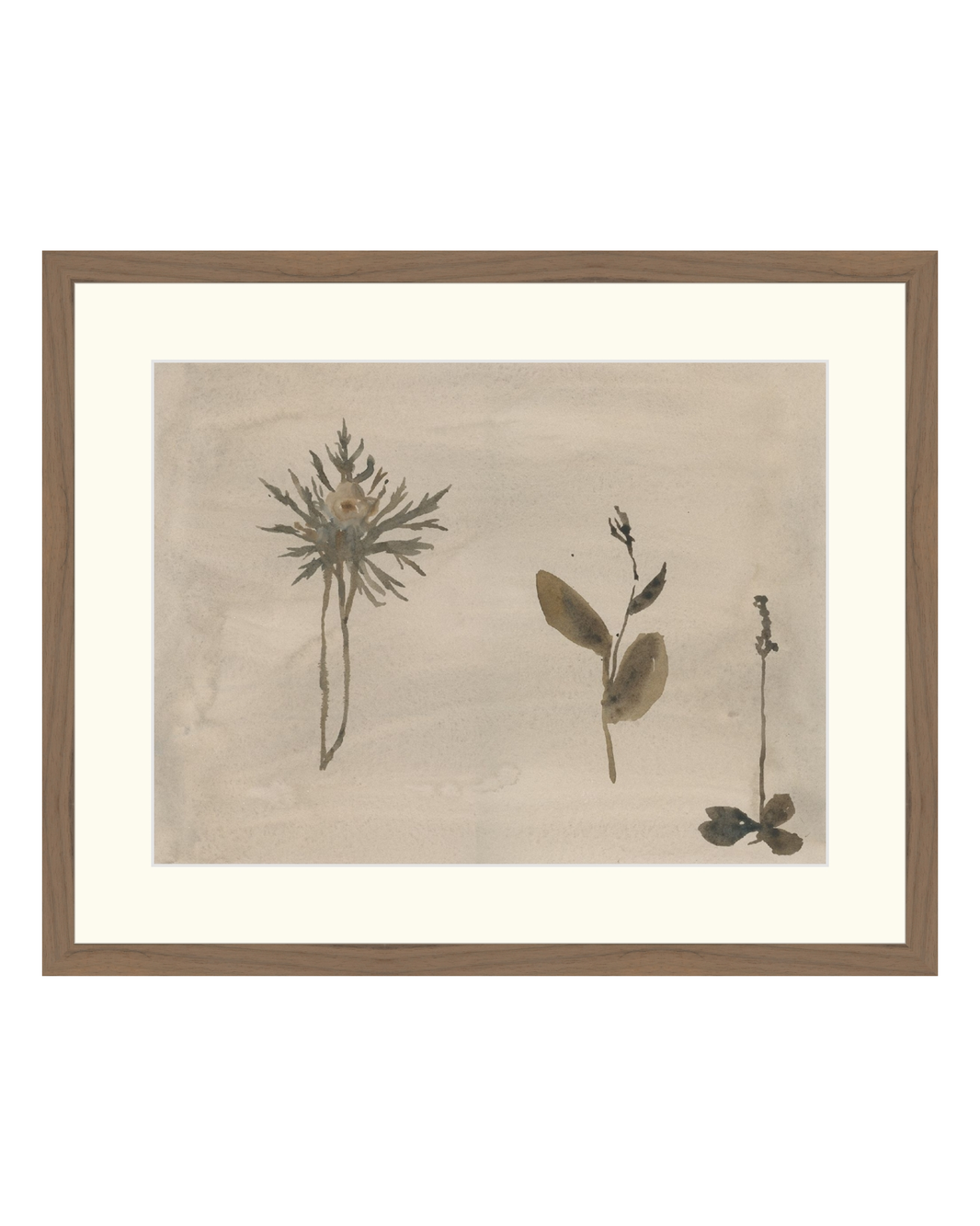 Drawings – Splendus