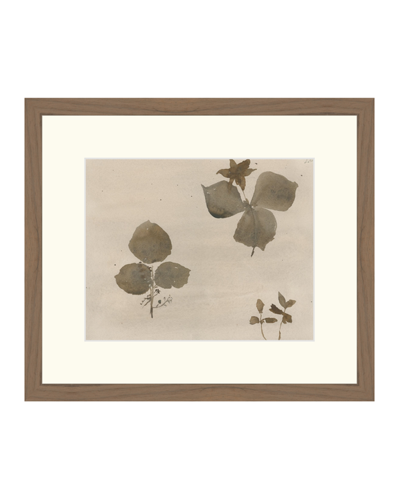 Botanical Thoughts I – Splendus