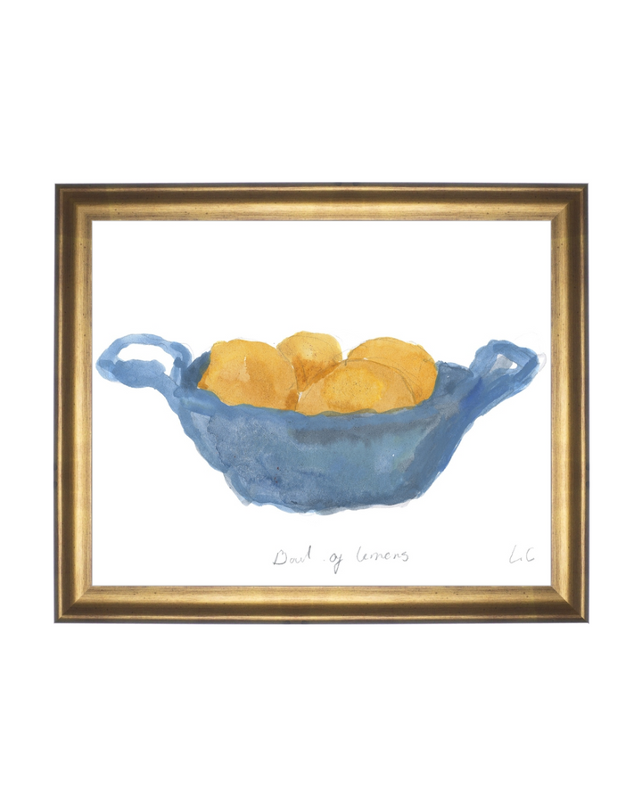 Drawings – Splendus