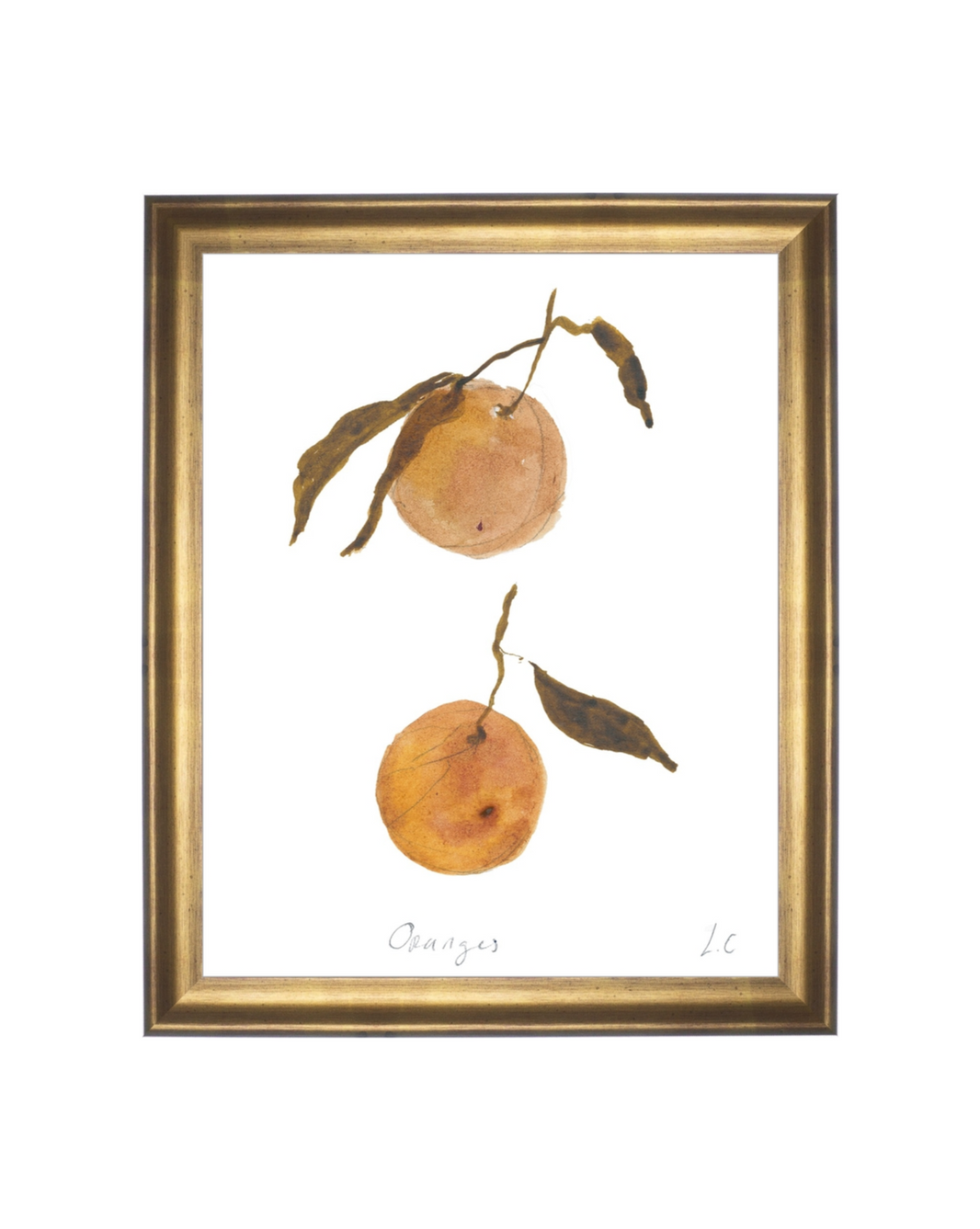 Drawings – Splendus