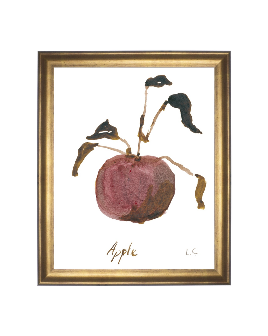 Drawings – Splendus