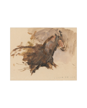 Wild Colt – Splendus