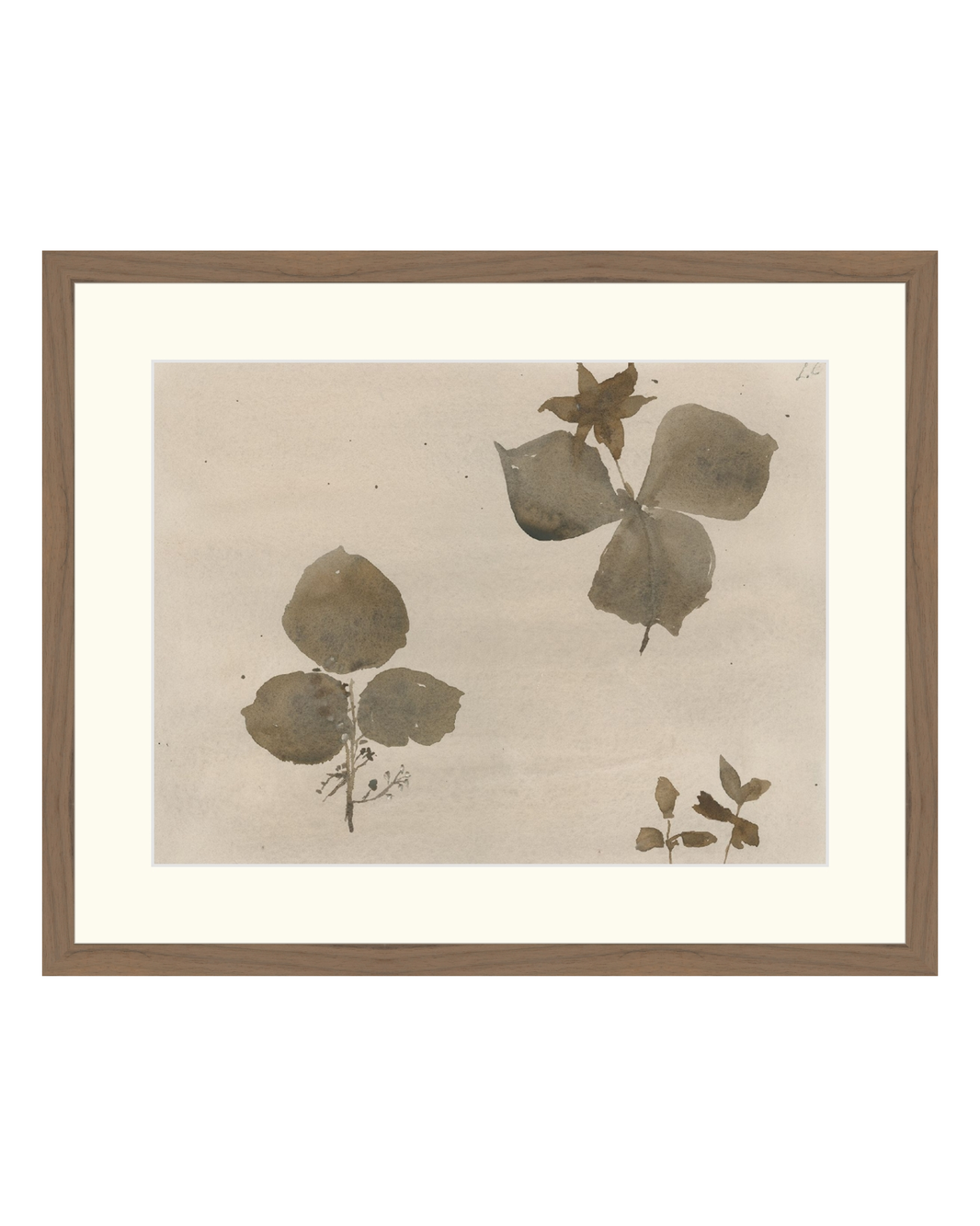 Drawings – Splendus