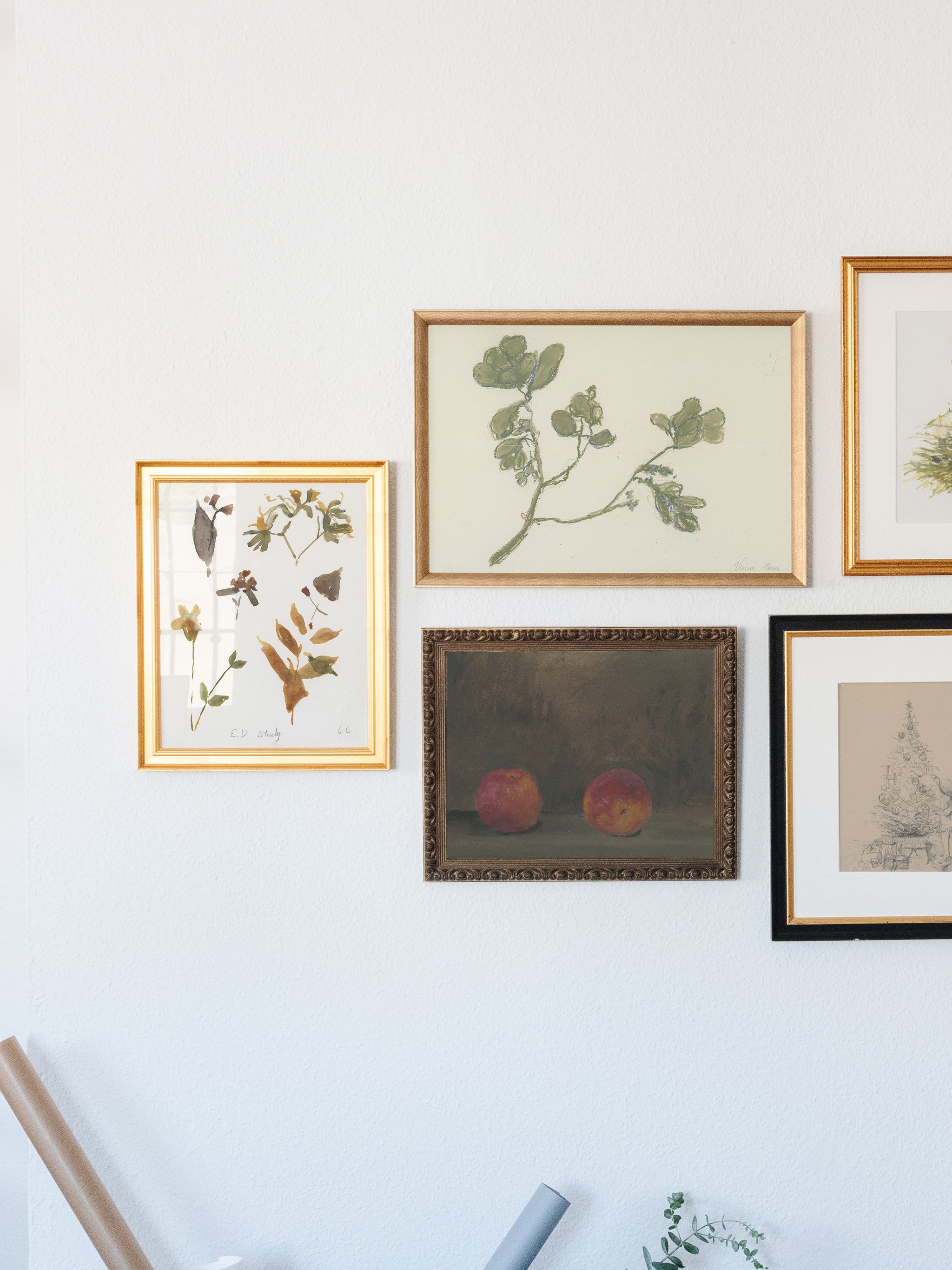 Pastel Mistletoe – Splendus