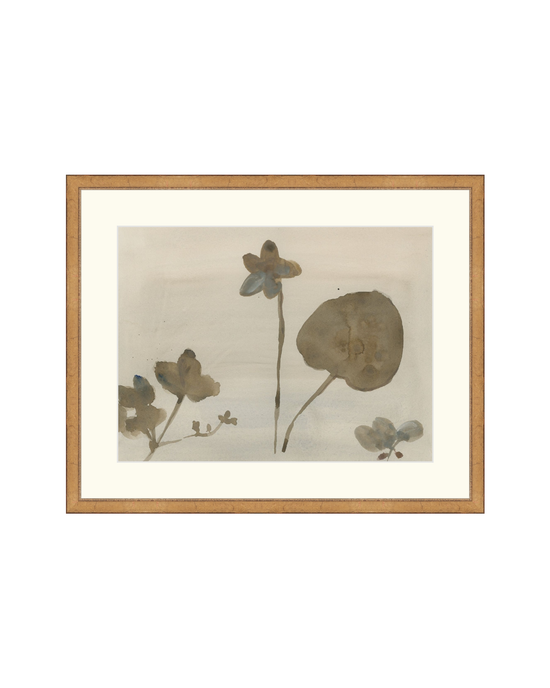 Botanical Thoughts III – Splendus