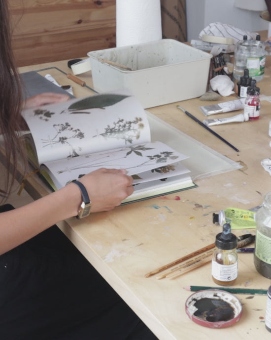 Botanical Thoughts III – Splendus