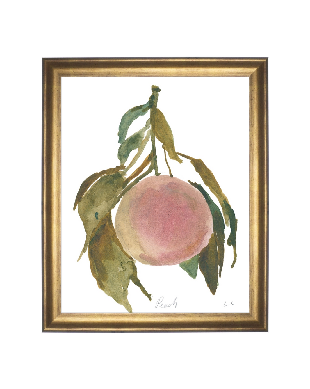 Drawings – Splendus