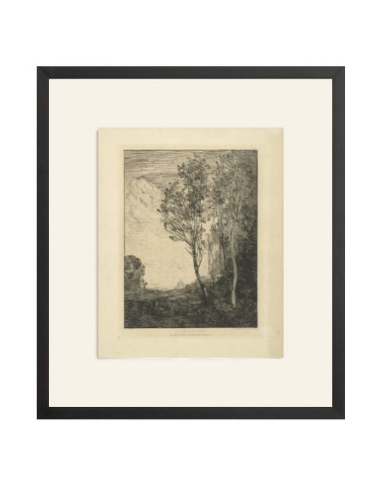 Trees Study Sketch – Splendus