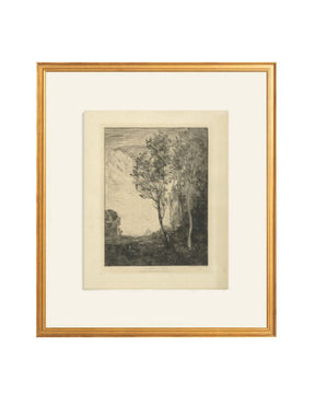 Trees Study Sketch – Splendus