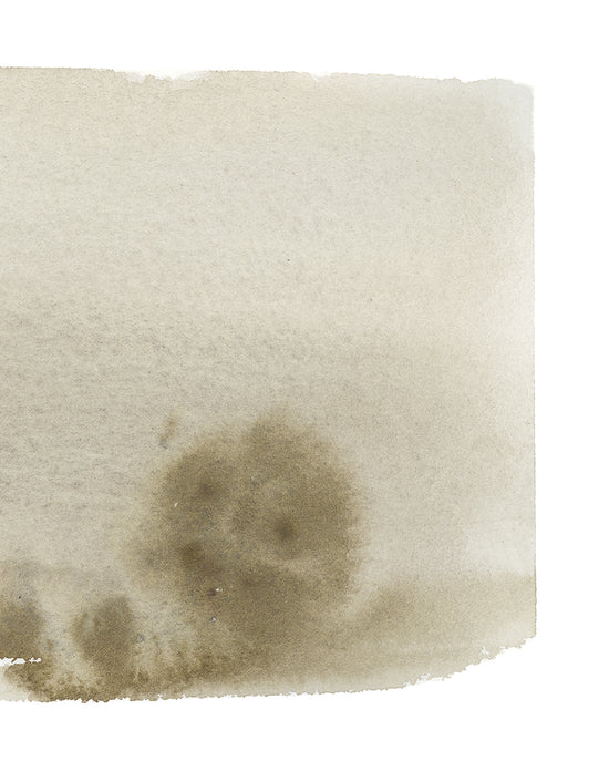 Olive Wash – Splendus