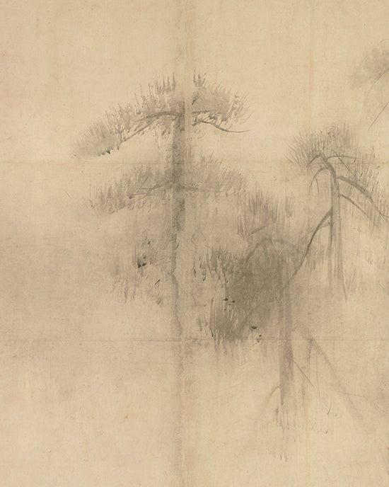 Pine Trees I – Splendus