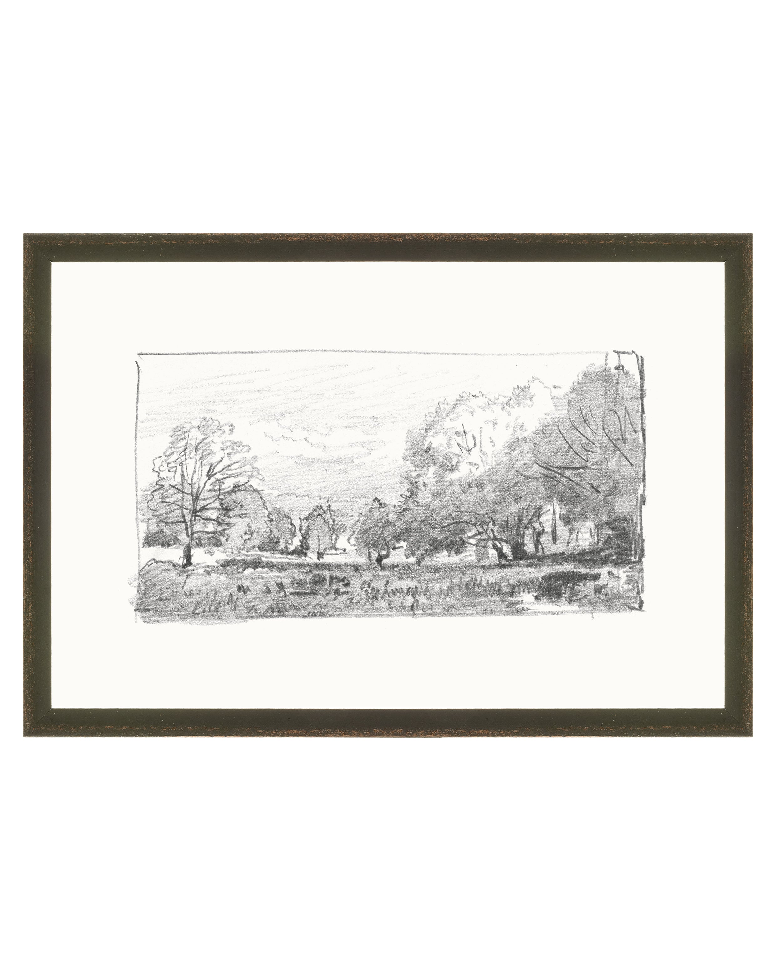 Charcoal Trees 1 – Splendus