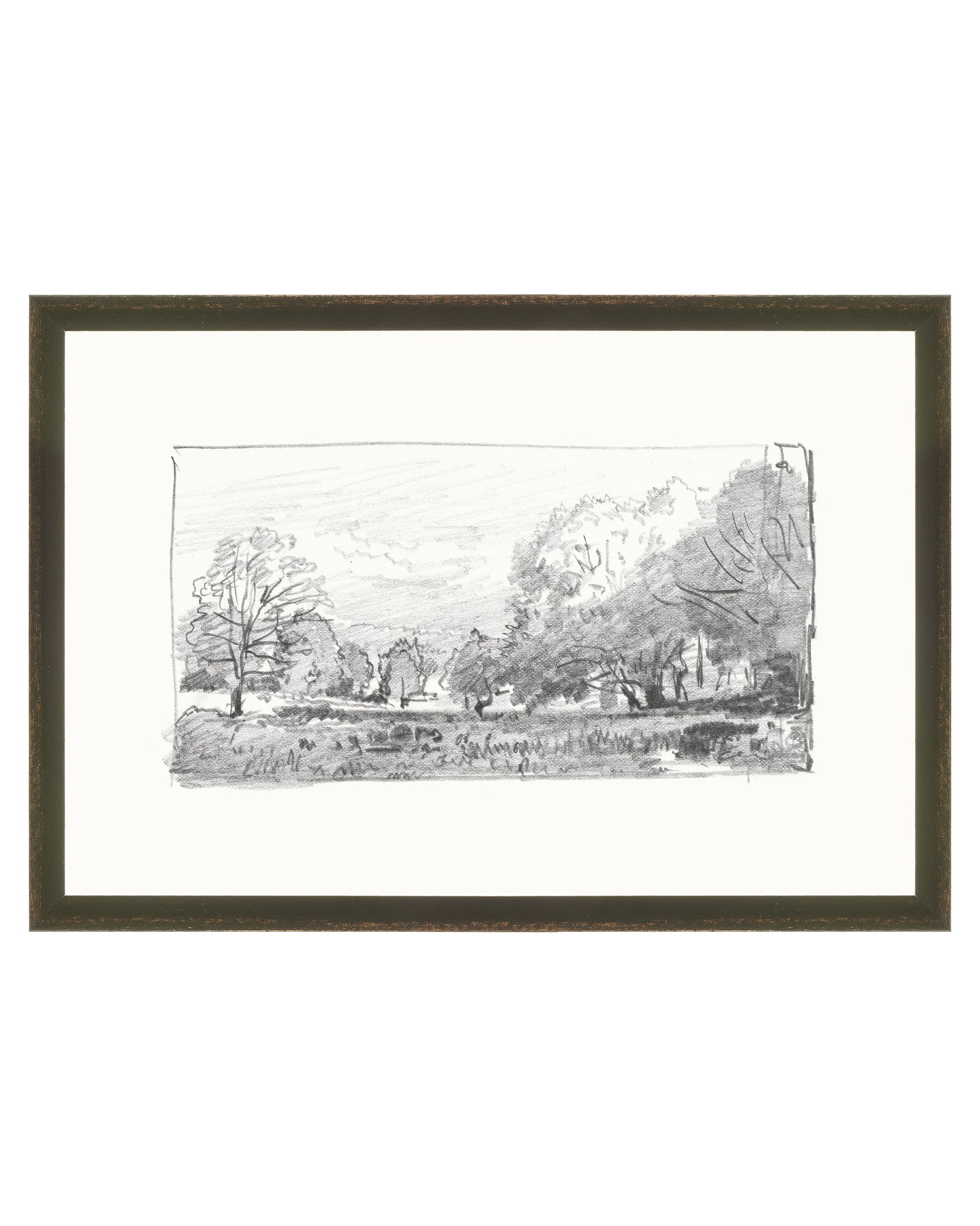 Charcoal Trees 1 – Splendus