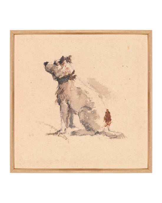 Companion – Splendus