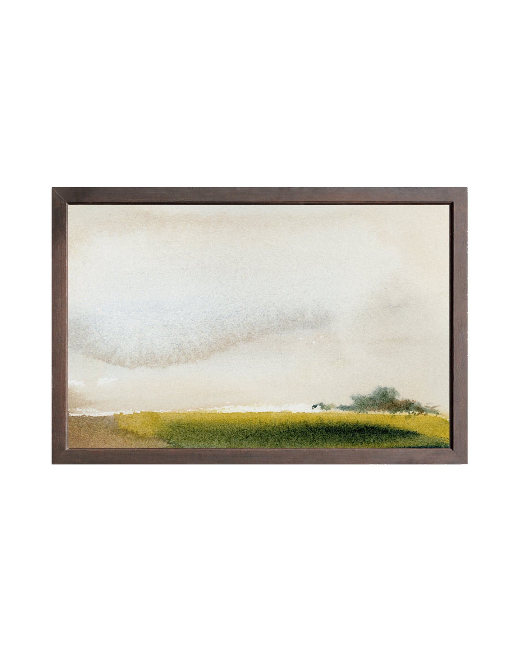 Dream Meadow – Splendus