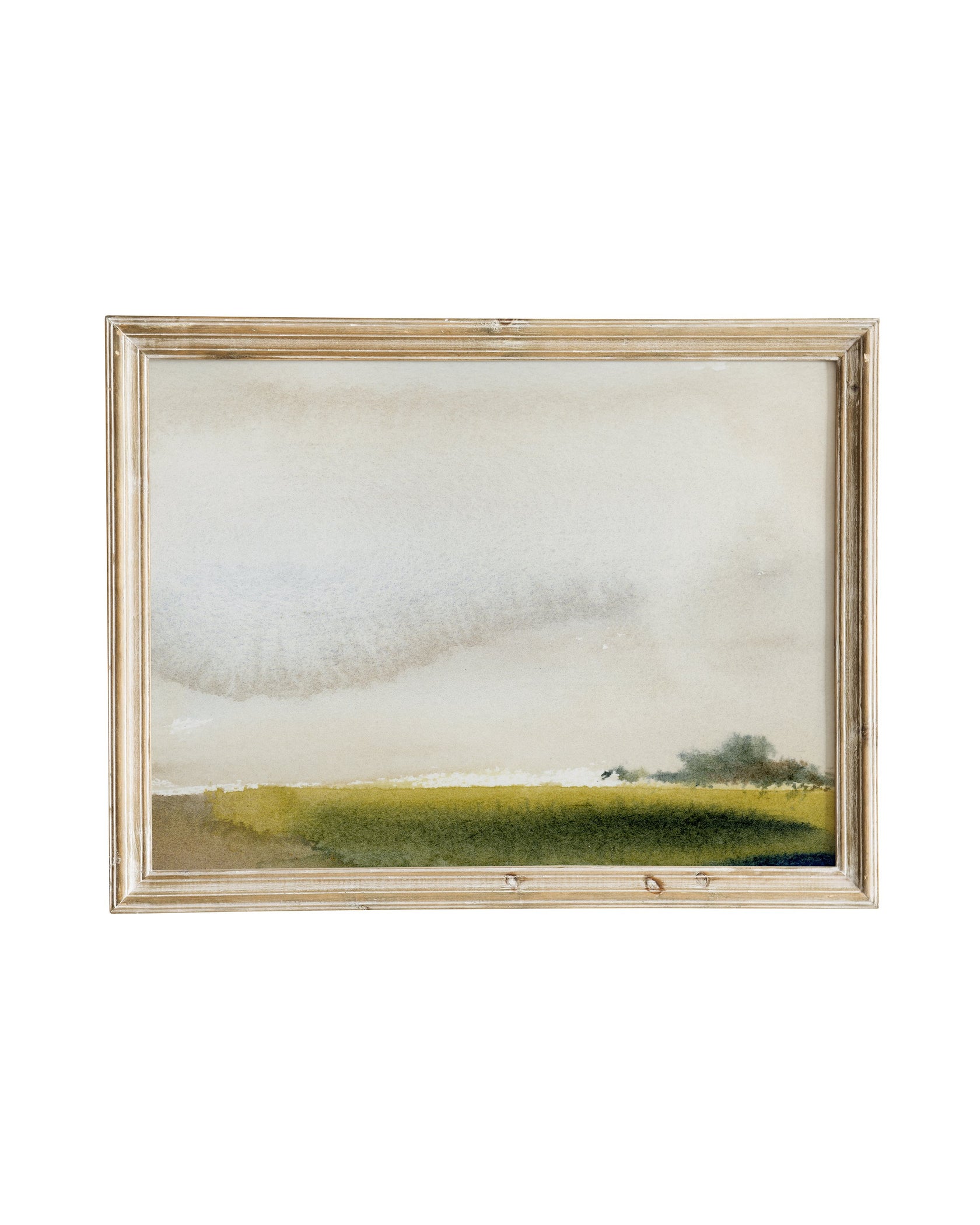 Dream Meadow – Splendus