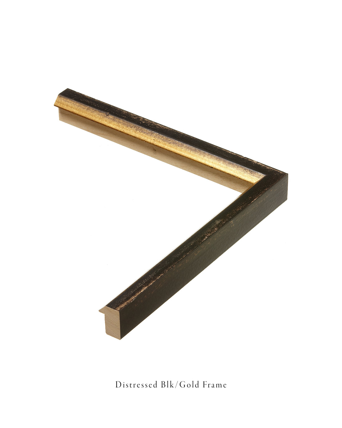 Trees Etching 3 – Splendus