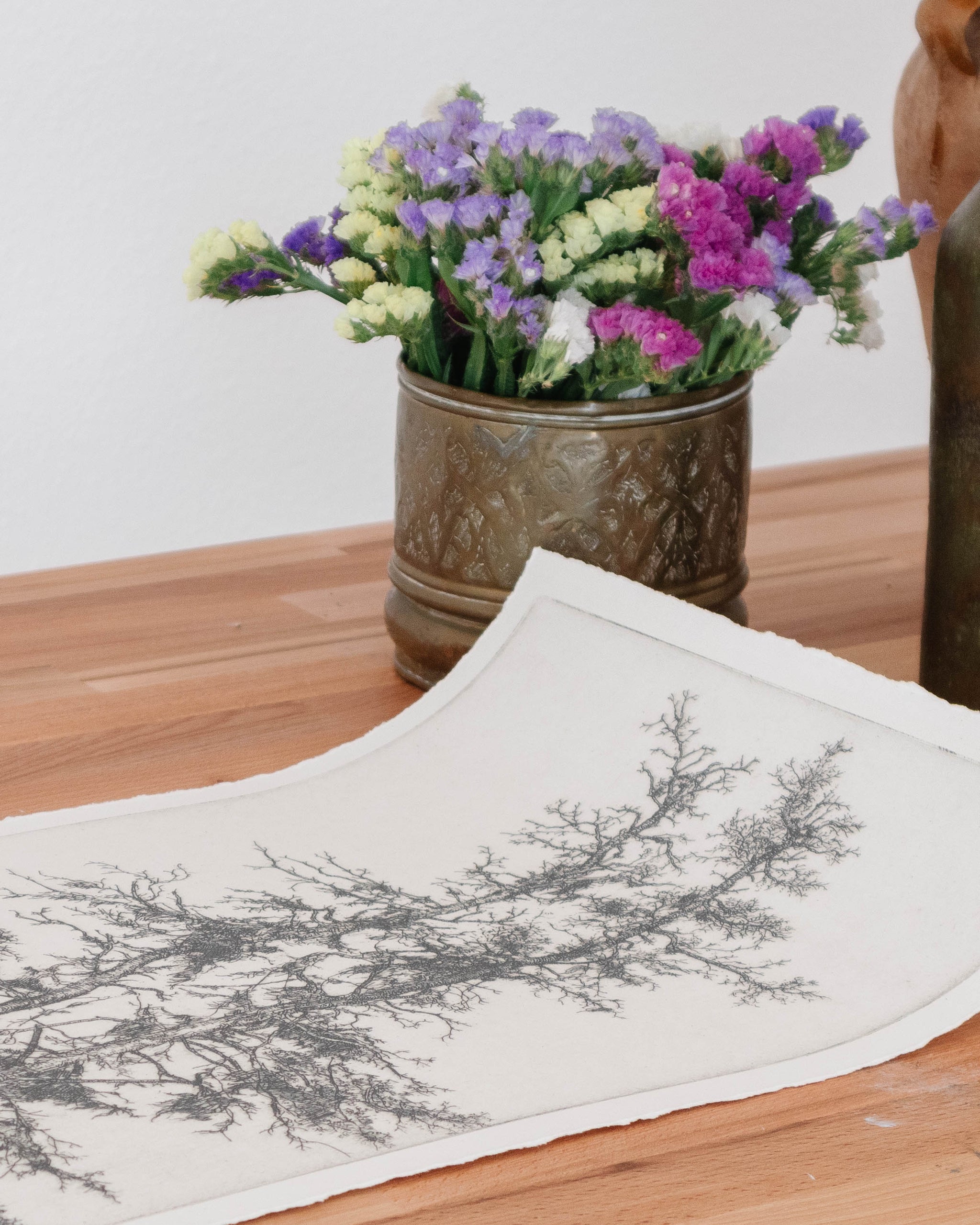 Trees Etching 3 – Splendus