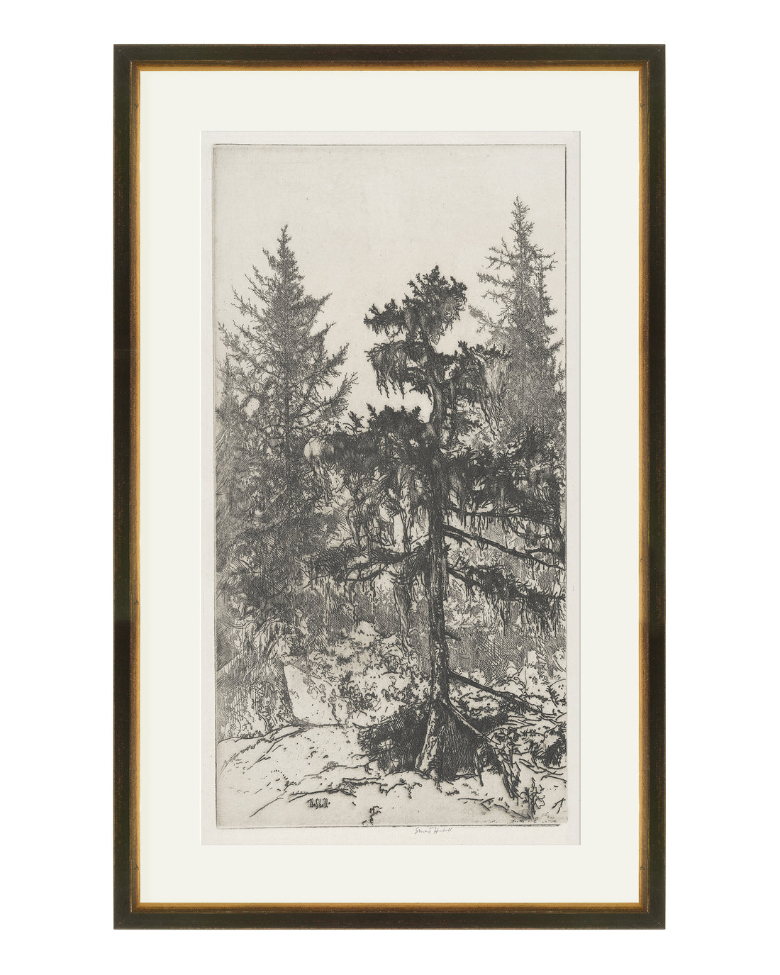 Trees Etching 2 – Splendus