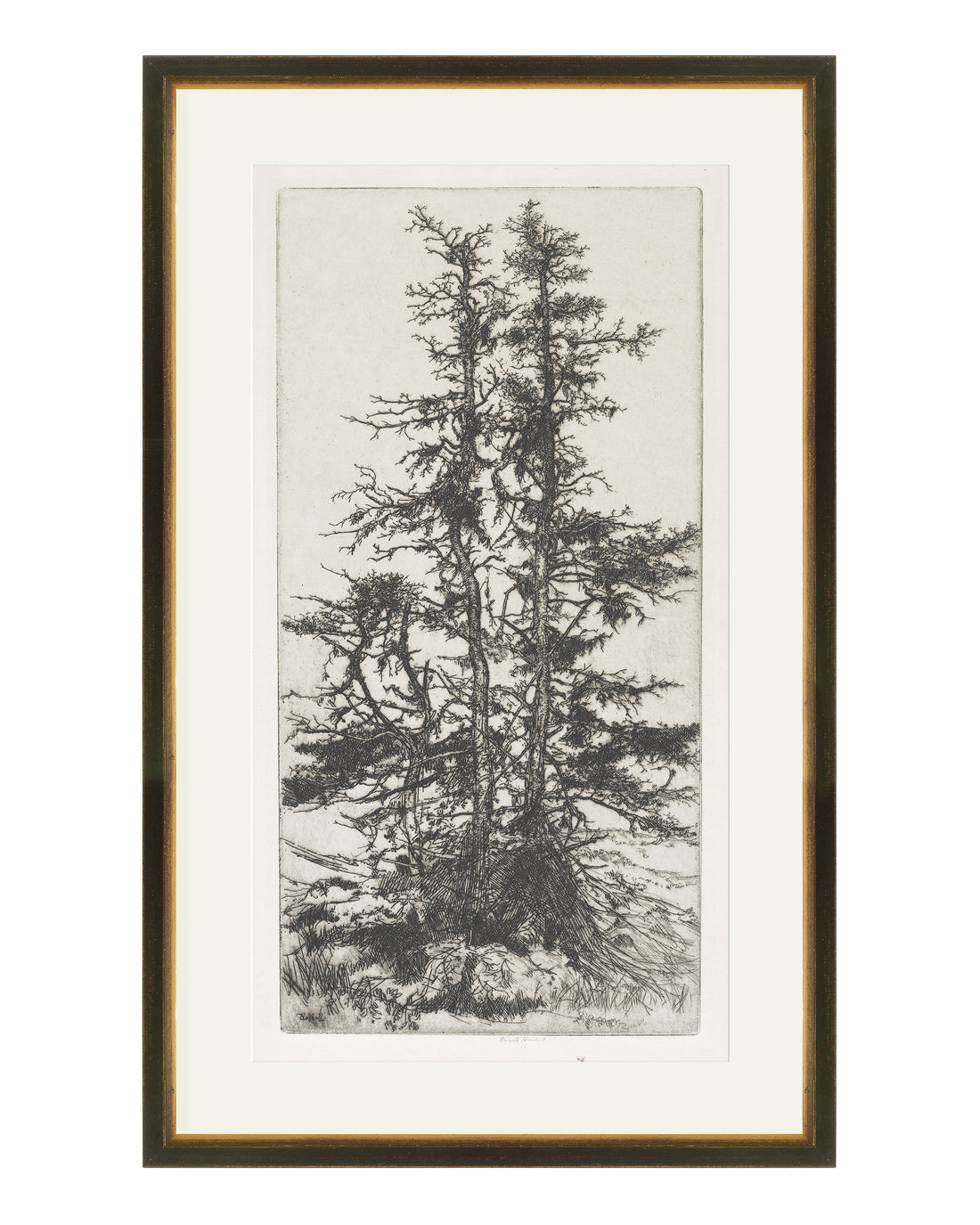 Trees Etching 3 – Splendus
