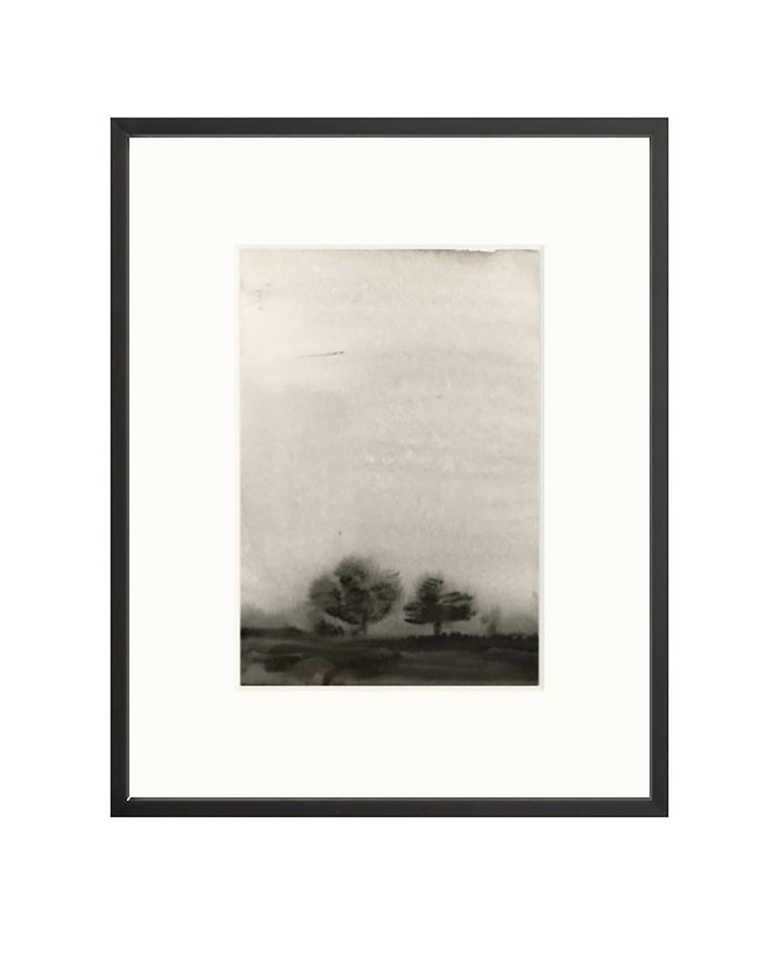 Trees In The Mist – Splendus