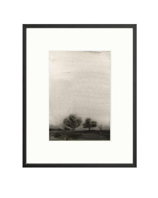 Trees In The Mist – Splendus