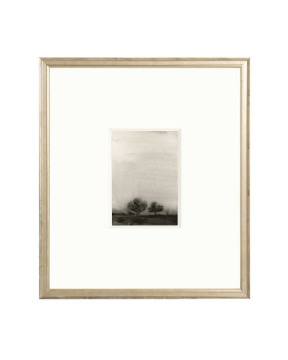 Trees In The Mist – Splendus