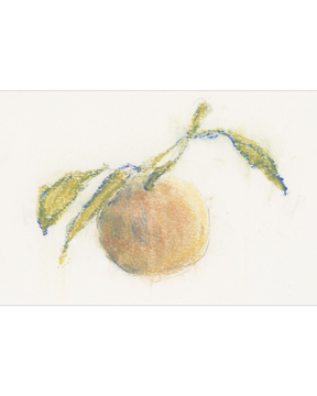 Pastel Orange I – Splendus