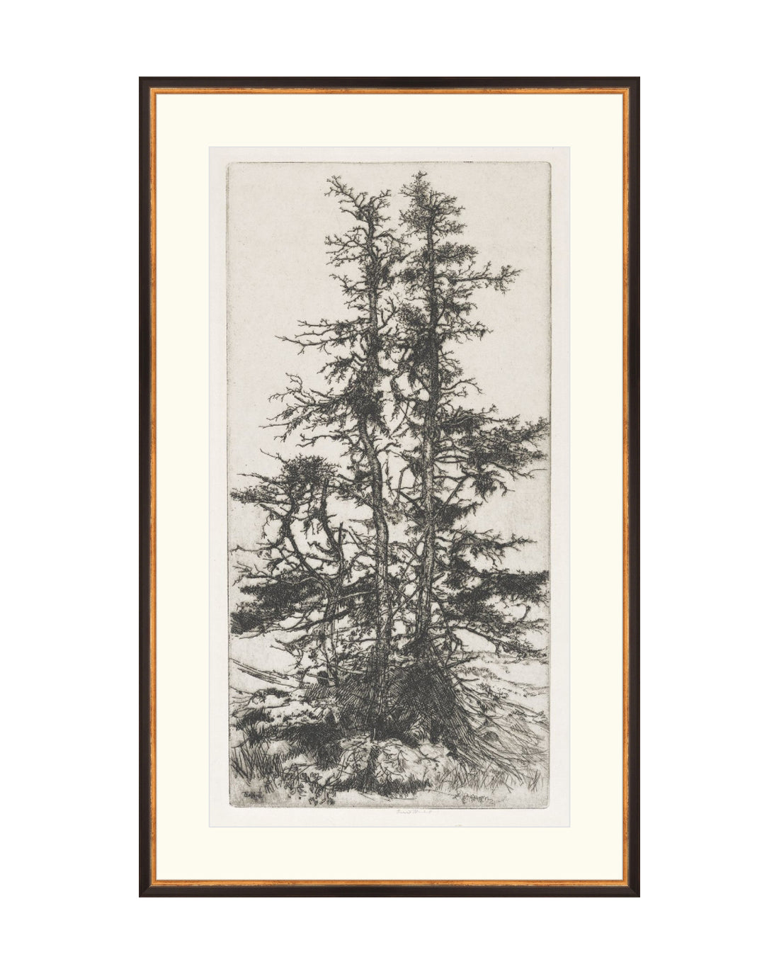 Trees Etching 3 – Splendus