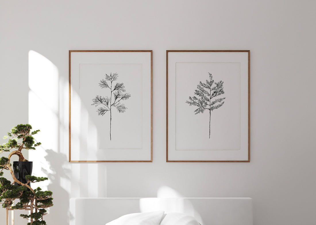 Hemlock Stem – Splendus