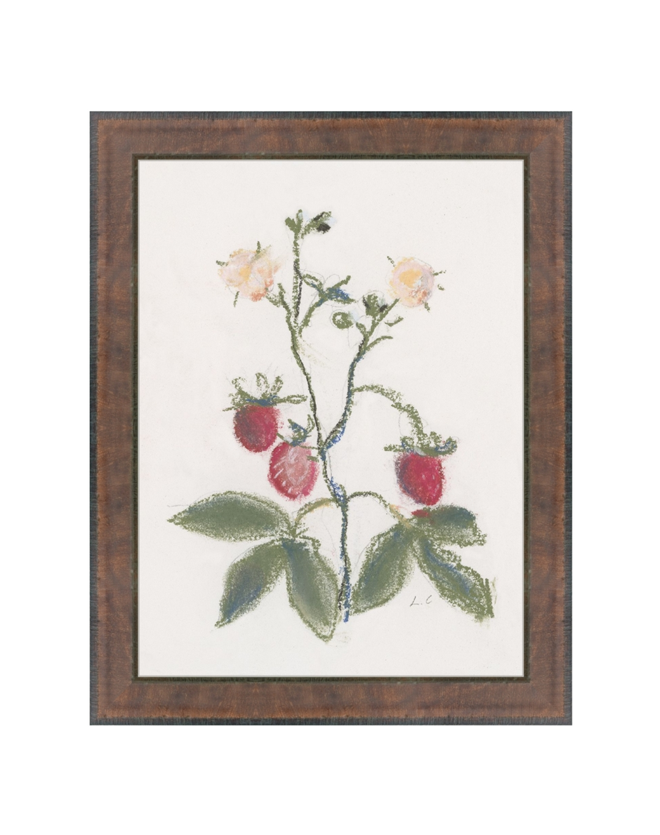 Drawings – Splendus